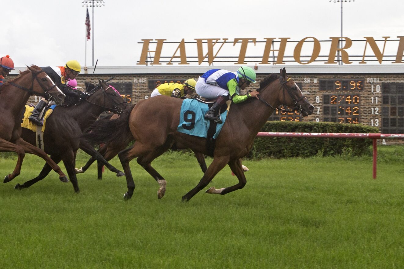 News – Hawthorne Race Course