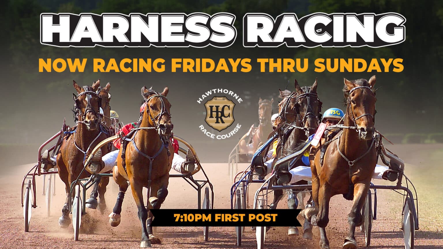 November Harness Racing at Hawthorne – Hawthorne Race Course